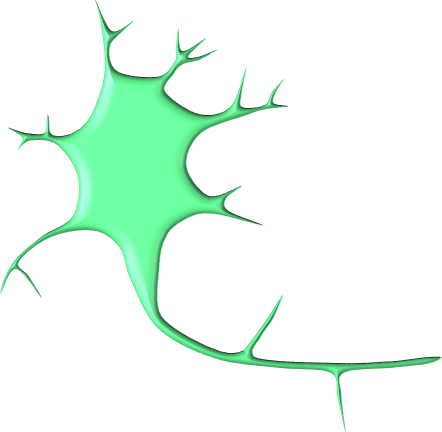 Nervioso. Neuronas